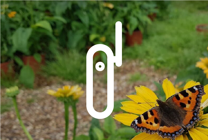 Open source | Shoots by Syngenta